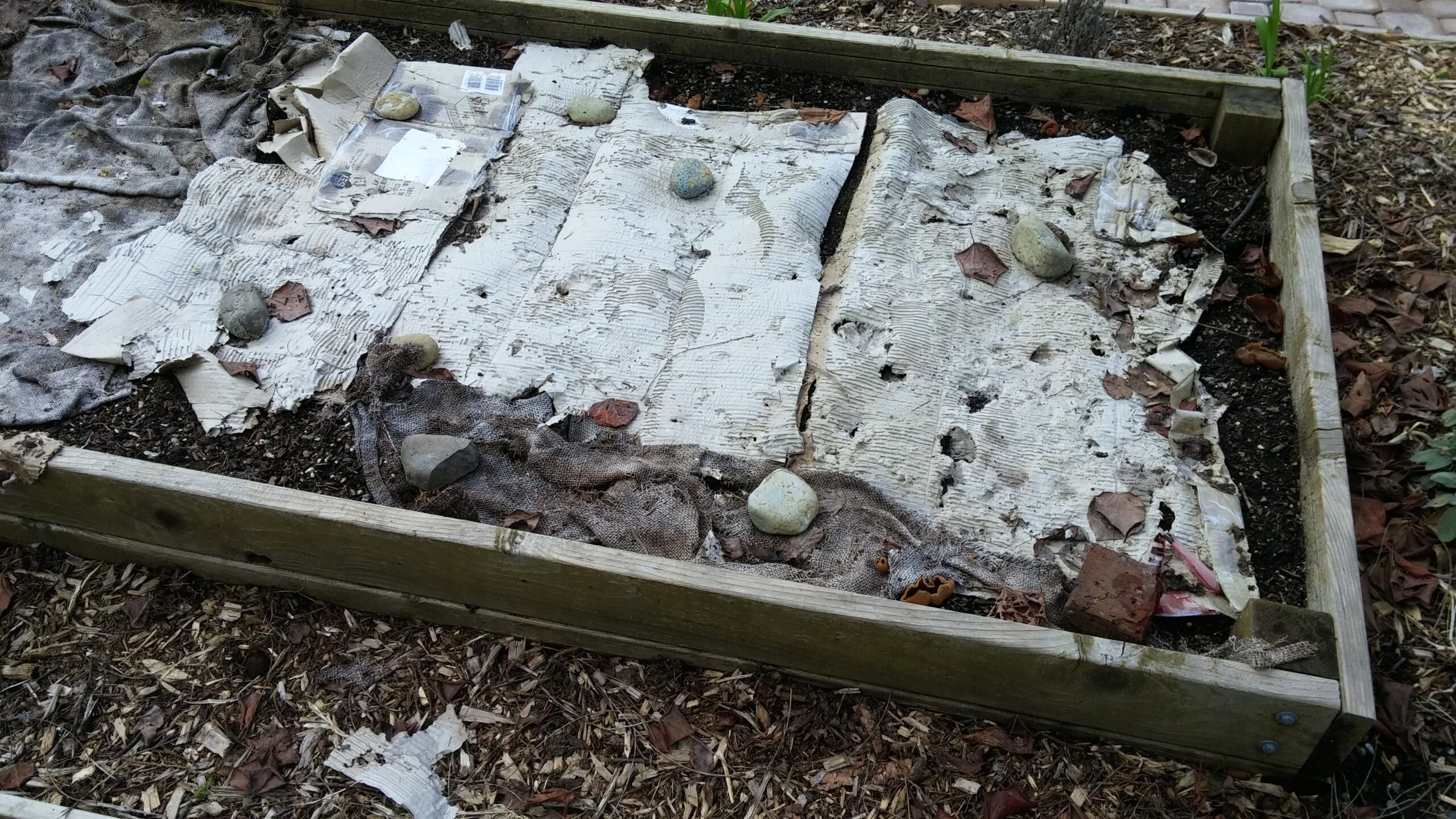 Cardboard does not belong on your soil. Period. – The Garden Professors™