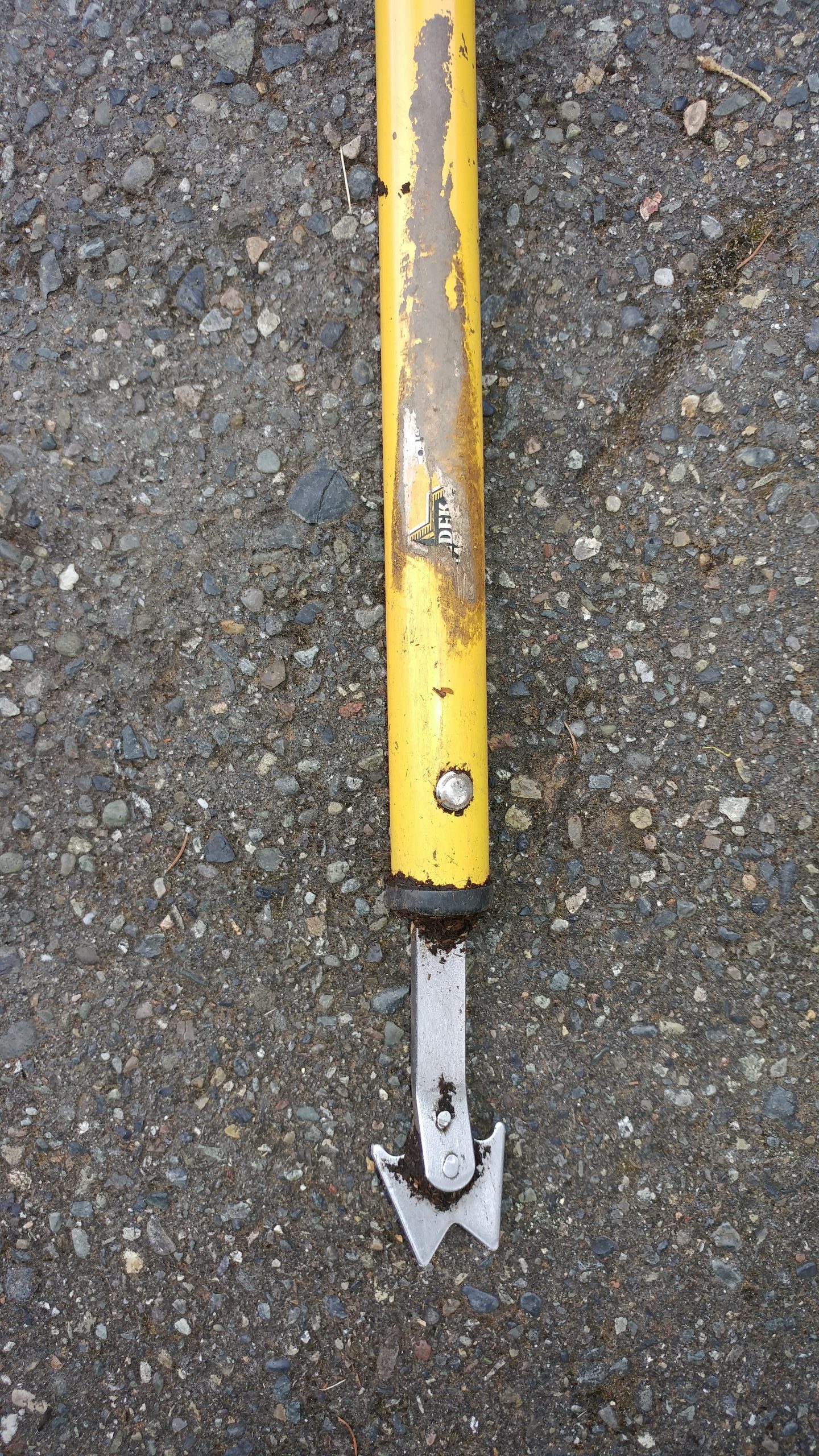 A tale of two weeders – lessons in managing aggressive, perennial weeds ...