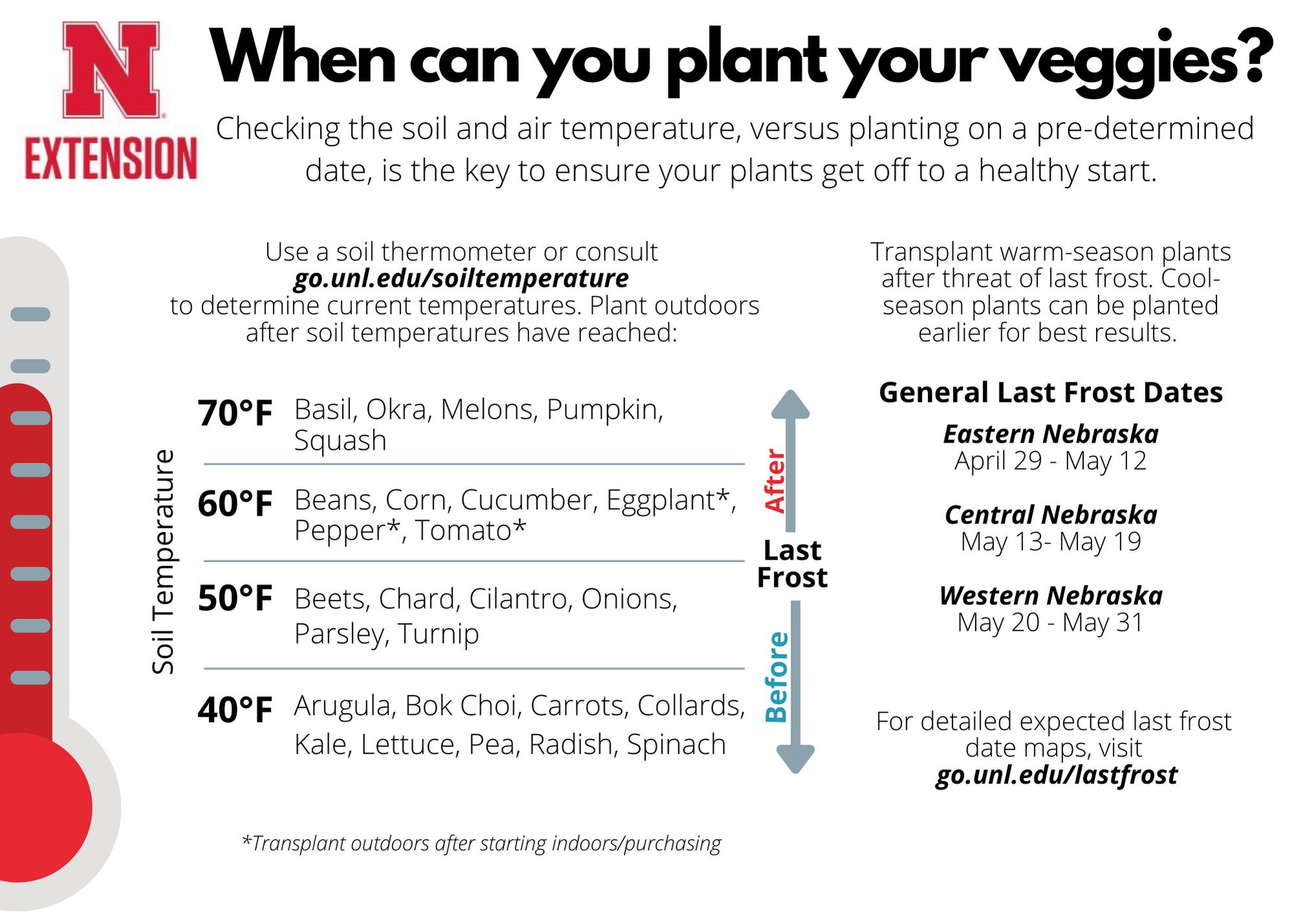 Perennials and Annuals – The Garden Professors™