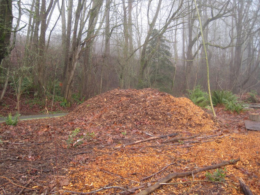“Mulch Murder” Misinformation – The Garden Professors™