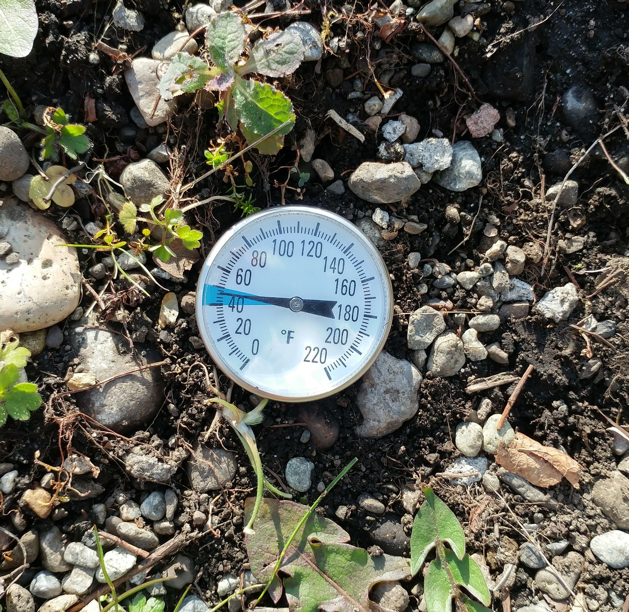 Mulches – The Garden Professors™