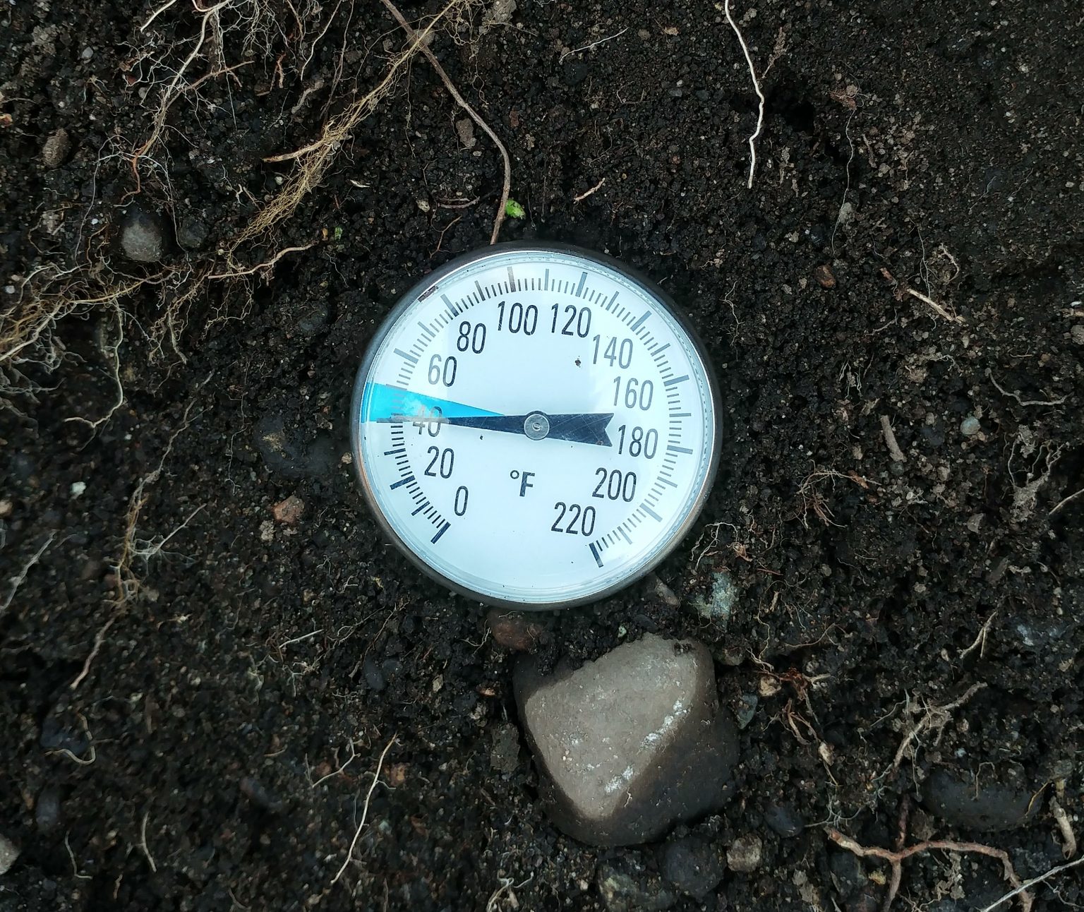 Mulches – The Garden Professors™