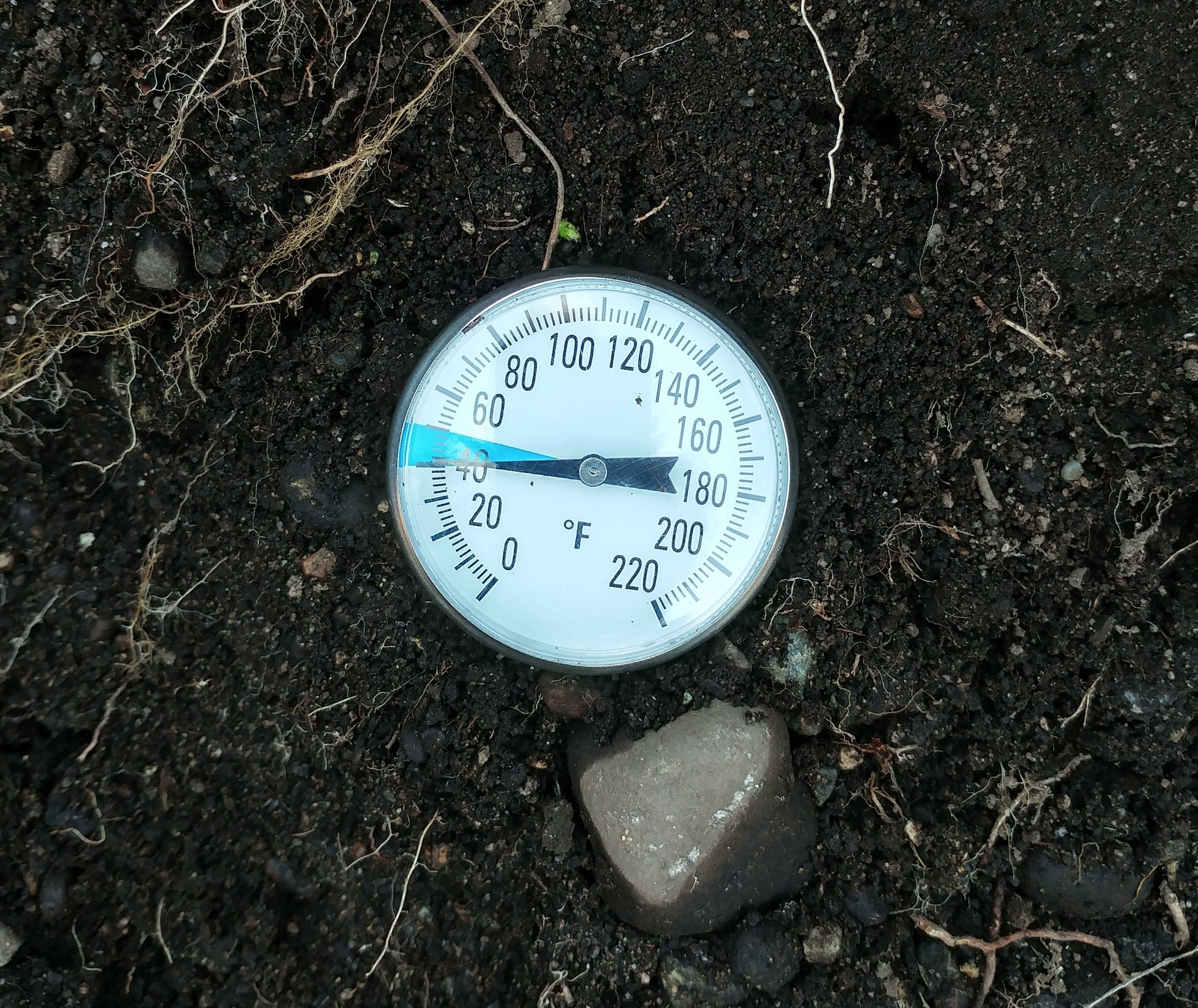 To mulch or not to mulch? It shouldn’t even be a question. – The Garden ...