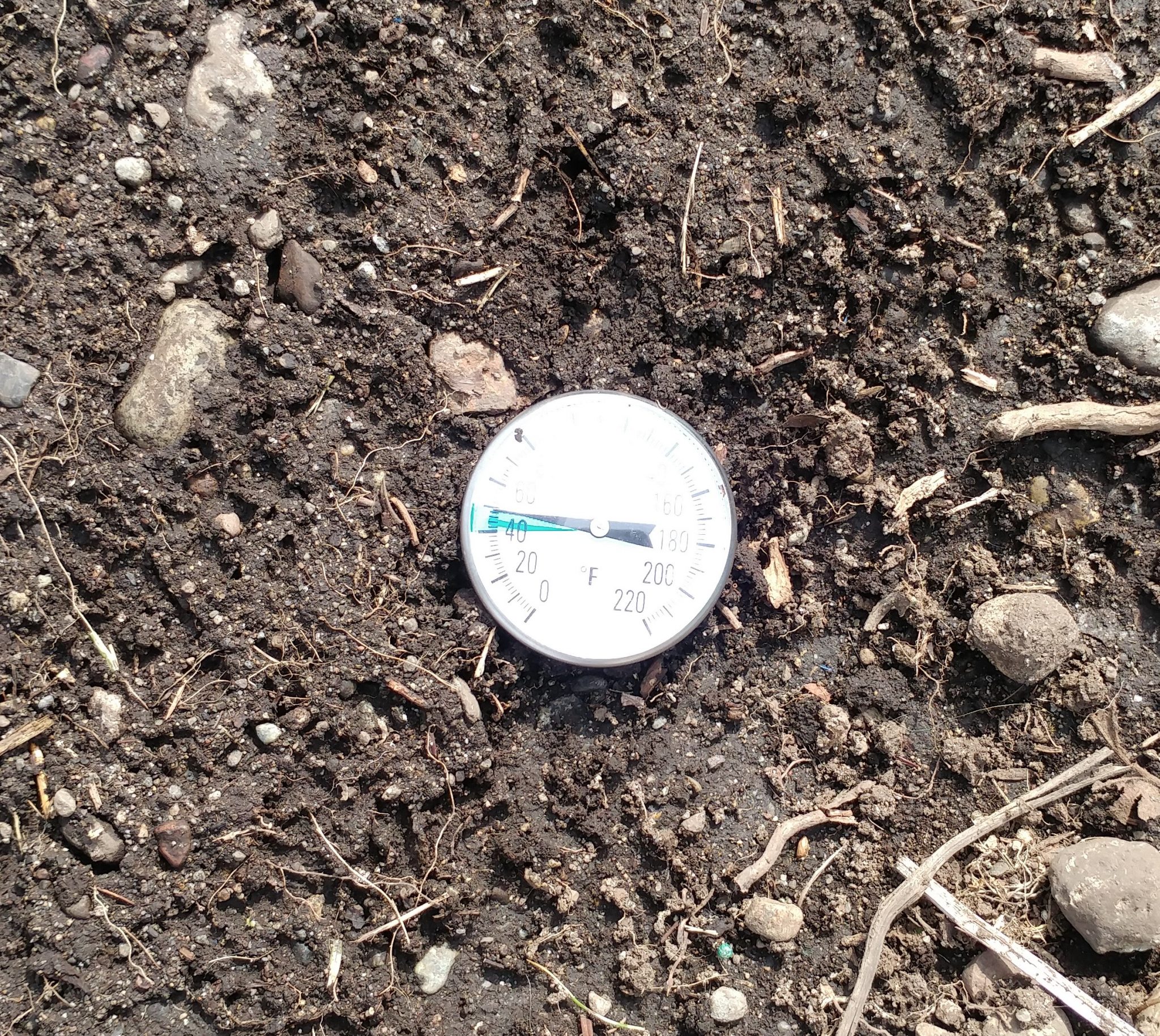 Mulches – The Garden Professors™