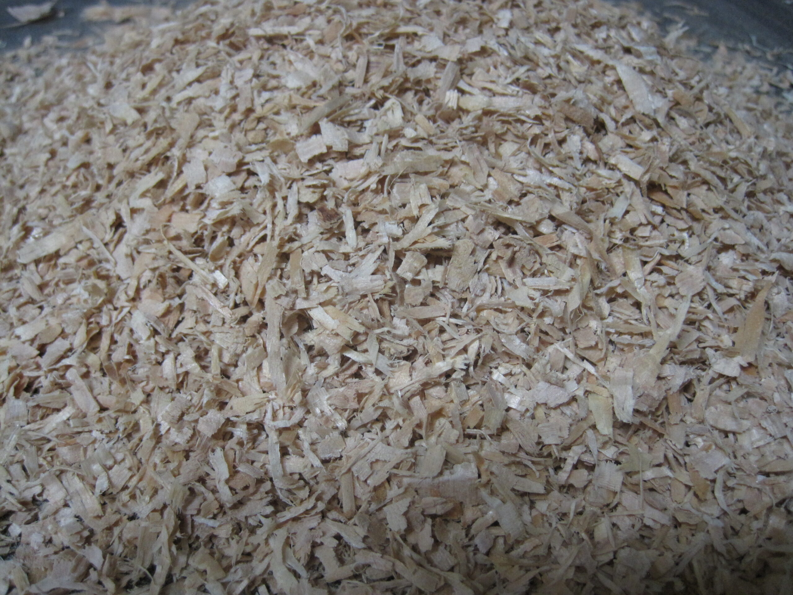 Deep sheet mulching is “bat-sheet crazy” – The Garden Professors™