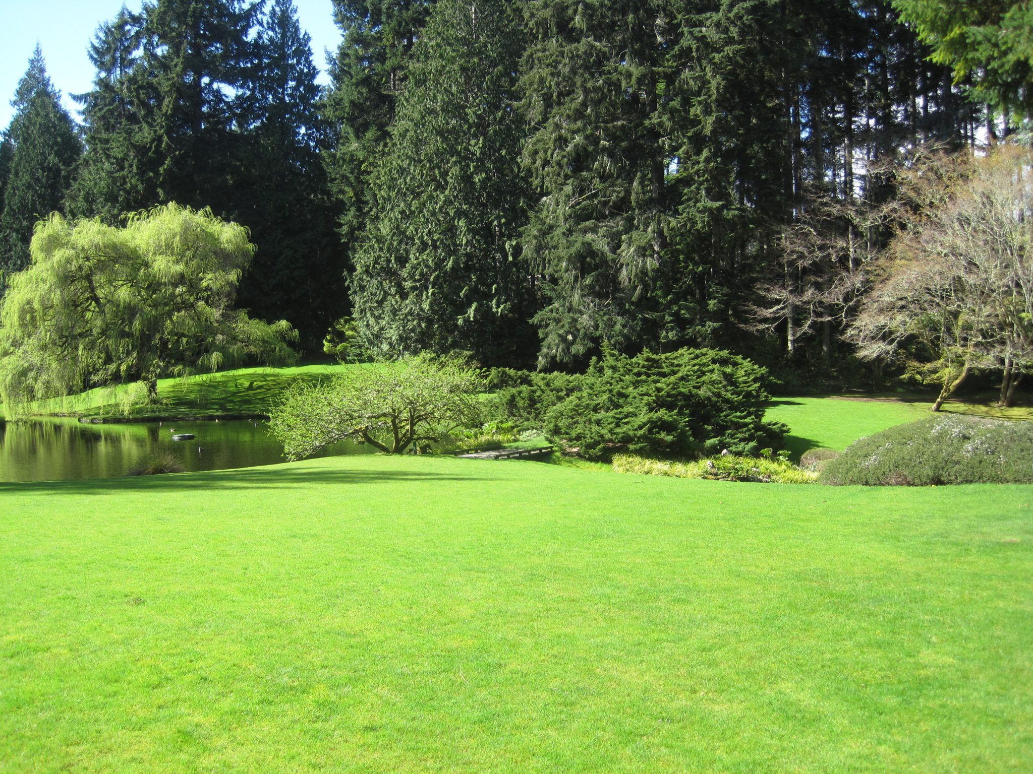 Making your landscape fire resistant during wildfire season – The ...
