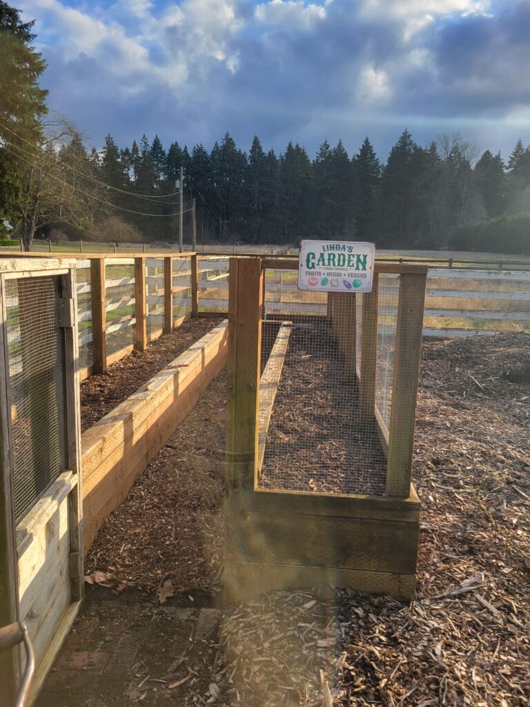 Compost, raised beds, and unexpected finds – The Garden Professors™