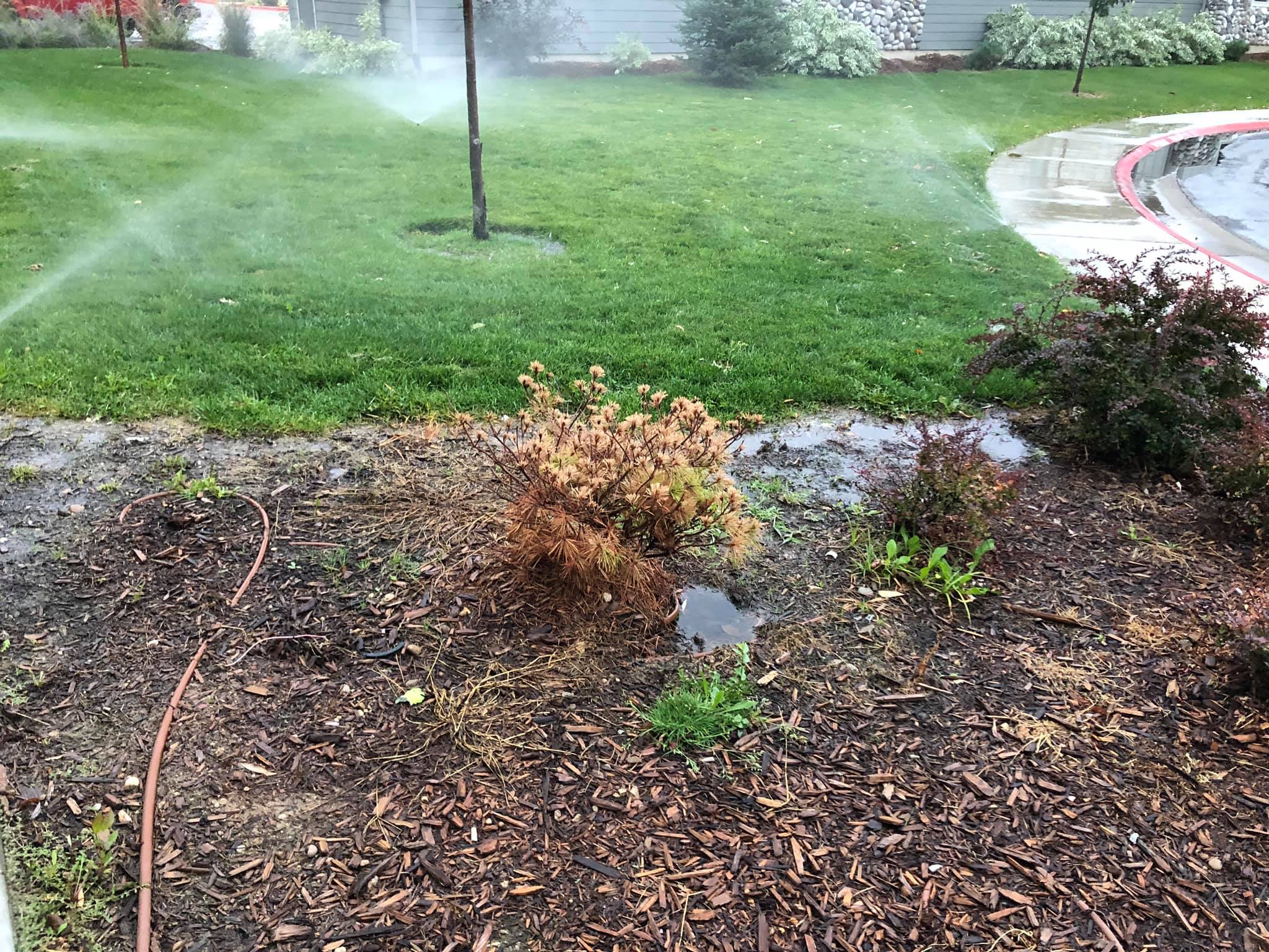 Another “drainage solution” that makes problems worse – The Garden ...