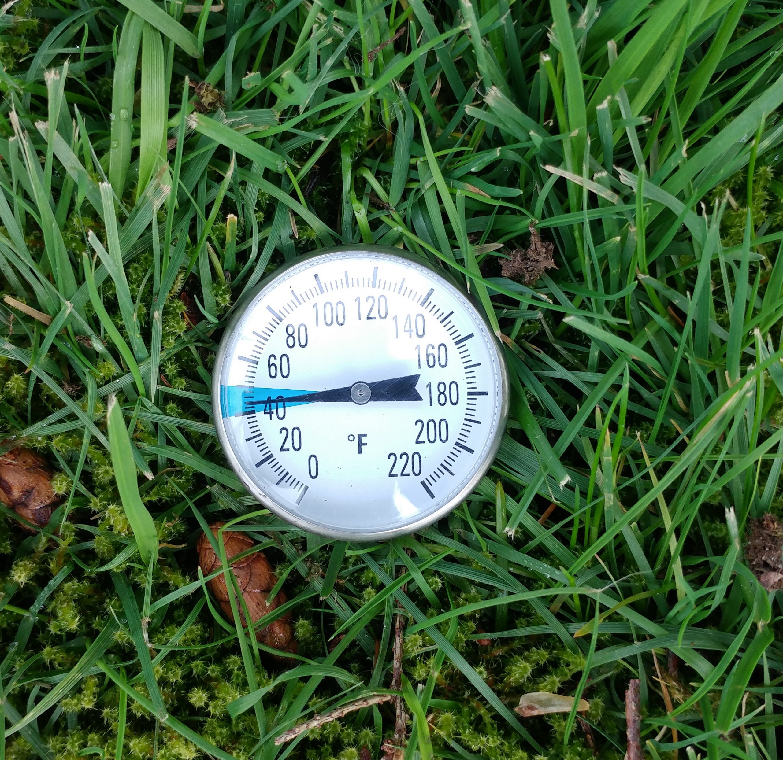 To mulch or not to mulch? It shouldn’t even be a question. – The Garden ...