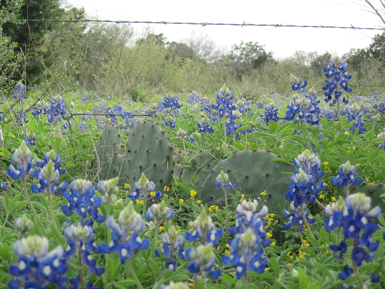 The Garden Professors™ – Page 4 – Advancing the science of gardening ...