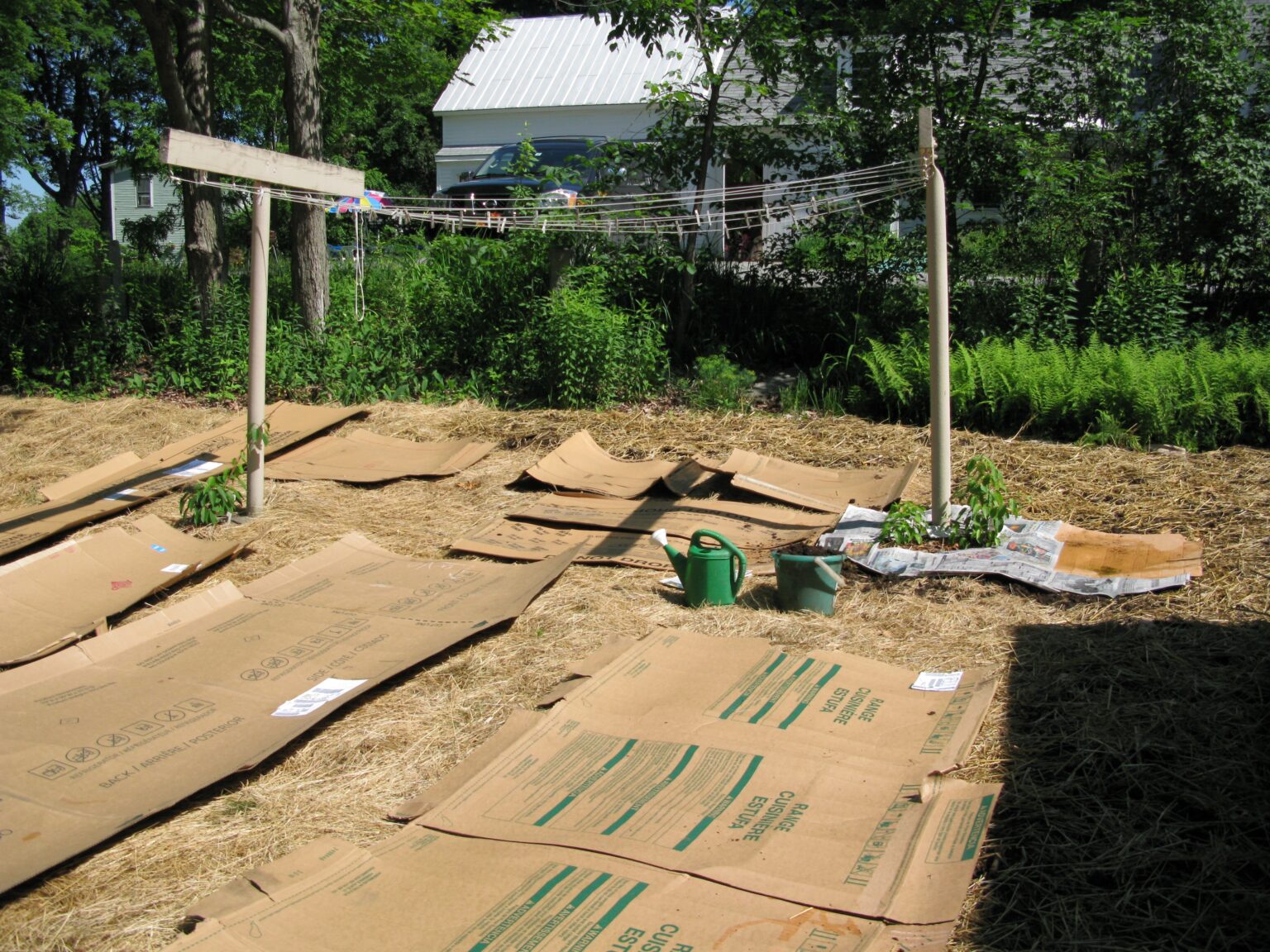 Cardboard does not belong on your soil. Period. – The Garden Professors™