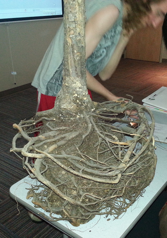 The Garden Professors™ – Advancing the science of gardening and other ...