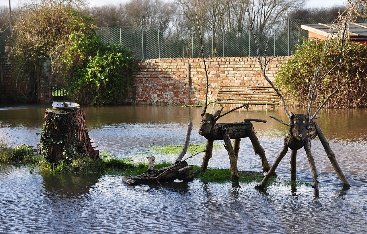 Preparing your landscape for extreme weather – The Garden Professors™