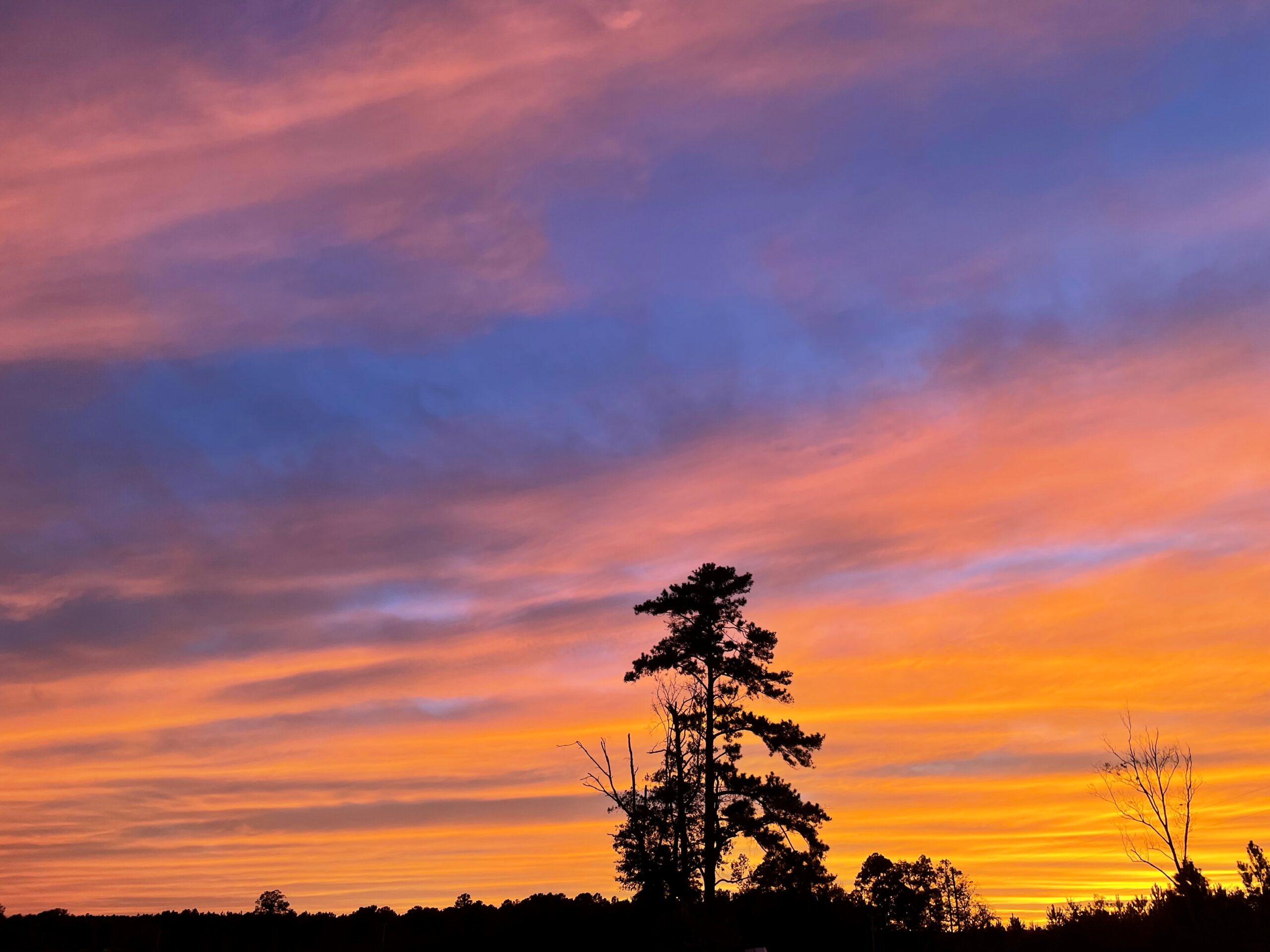 Predicting hurricane tracks and what they leave behind – The Garden ...