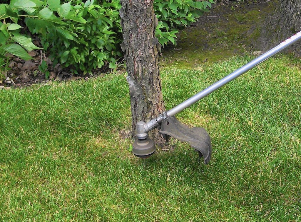Trees and Turf a NO GO – The Garden Professors™