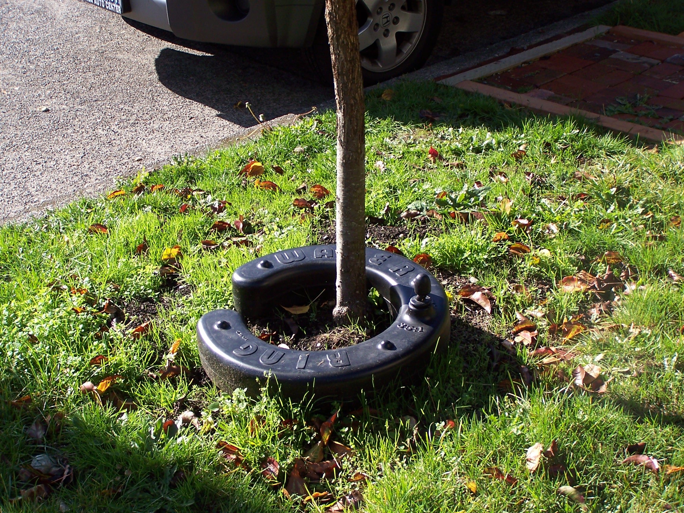 Irrigation bags: the good (rarely), the bad (frequently) and the ugly ...