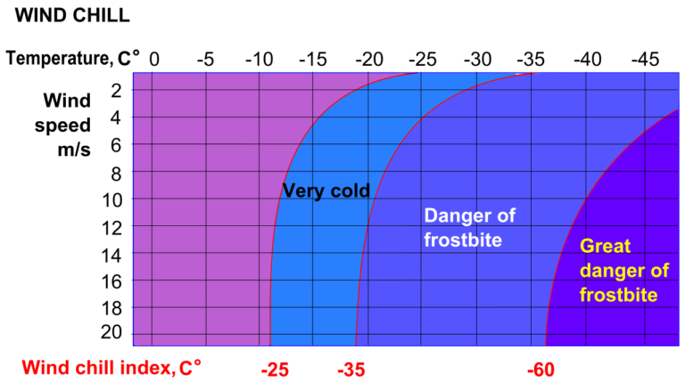 Does Wind Chill Affect Plants? – The Garden Professors™