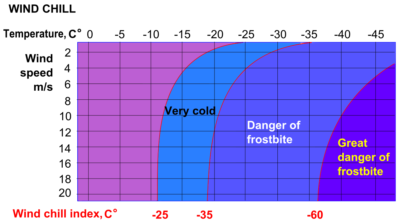Does Wind Chill Affect Plants? – The Garden Professors™